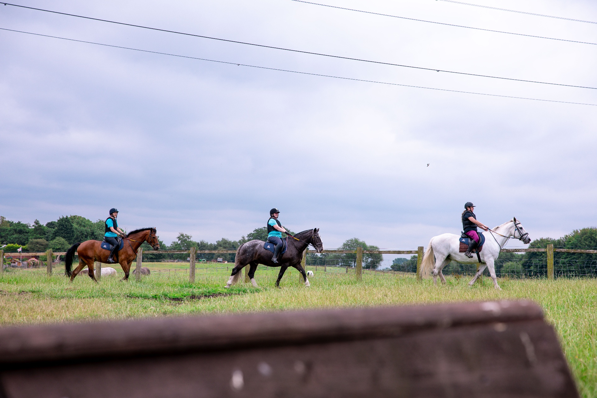 Ryders Farm Equestrian Centre | Bolton, Greater Manchester