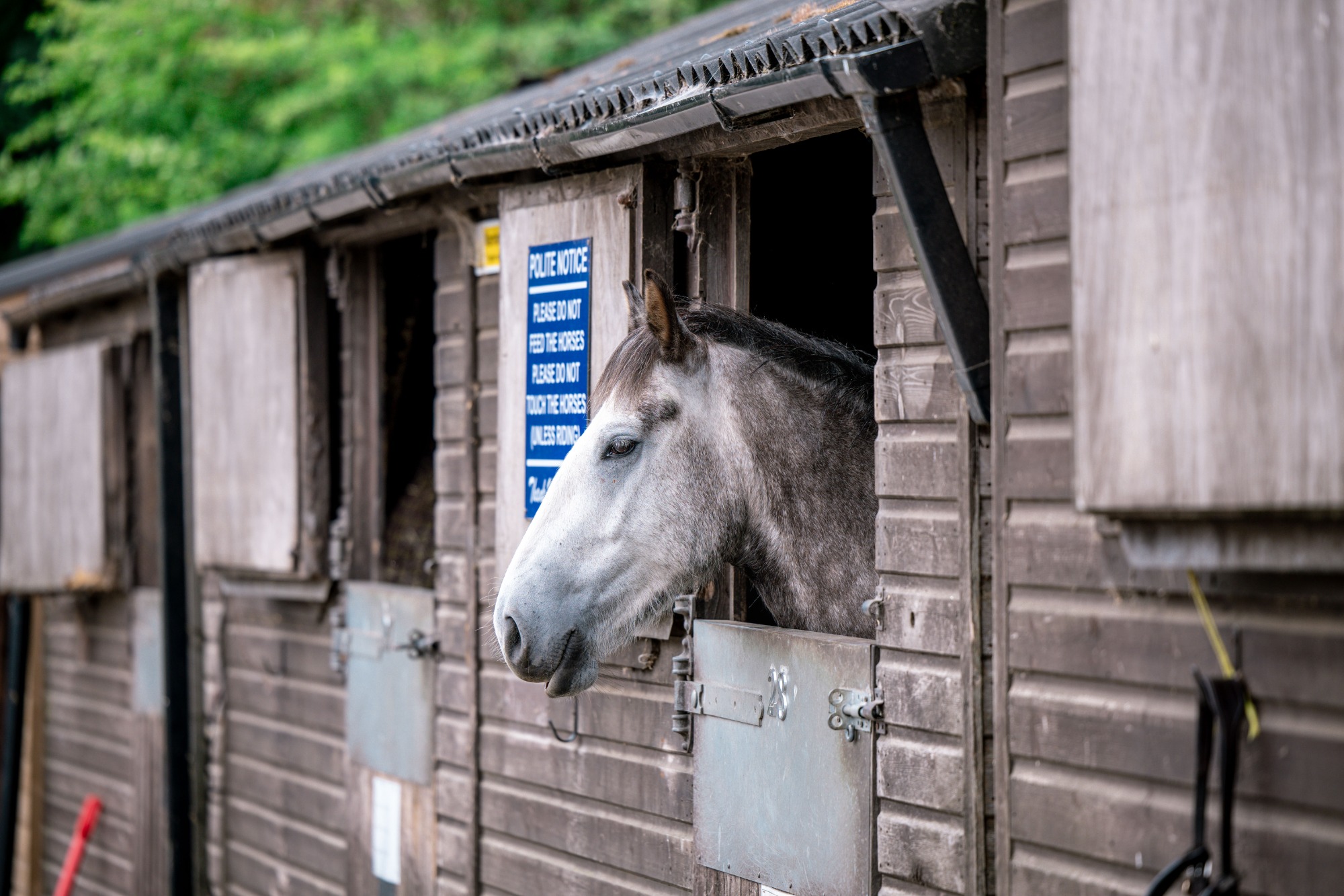 Ryders Farm Equestrian Centre | Bolton, Greater Manchester