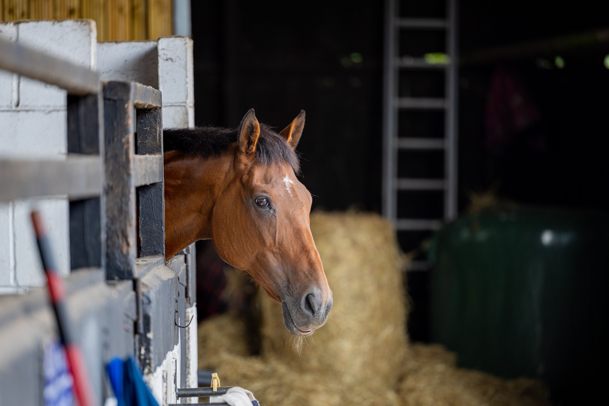 Ryders Farm Equestrian Centre | Bolton, Greater Manchester