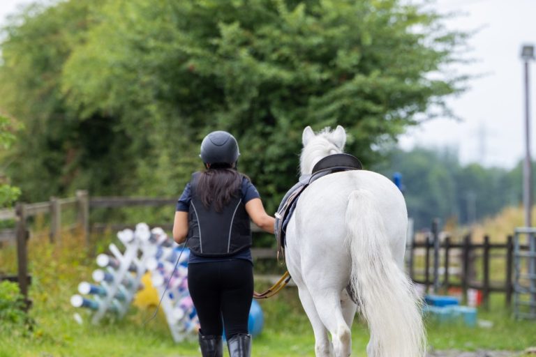 Ryders Farm Equestrian Centre | Bolton, Greater Manchester