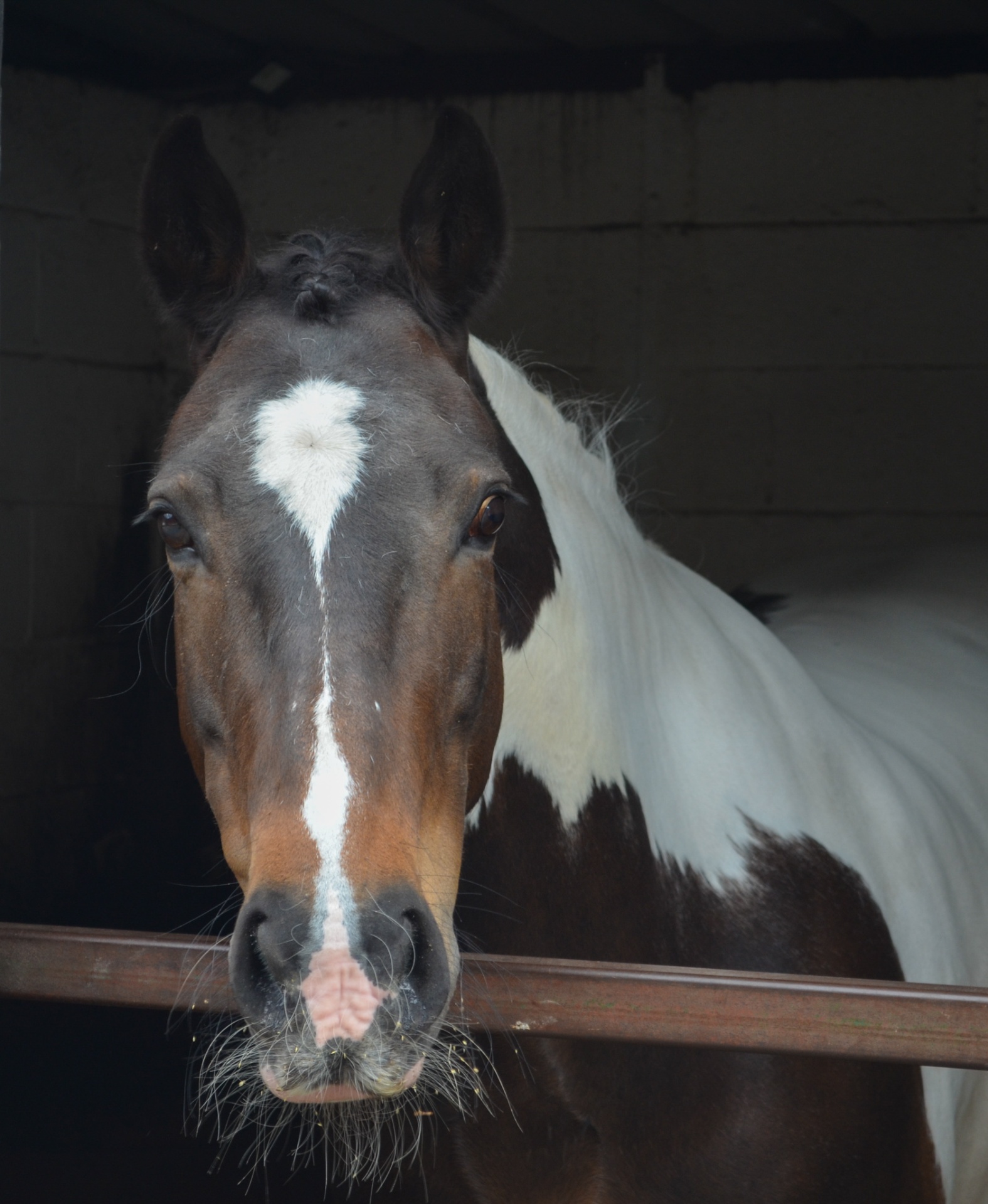 Ryders Farm Equestrian Centre | Bolton, Greater Manchester
