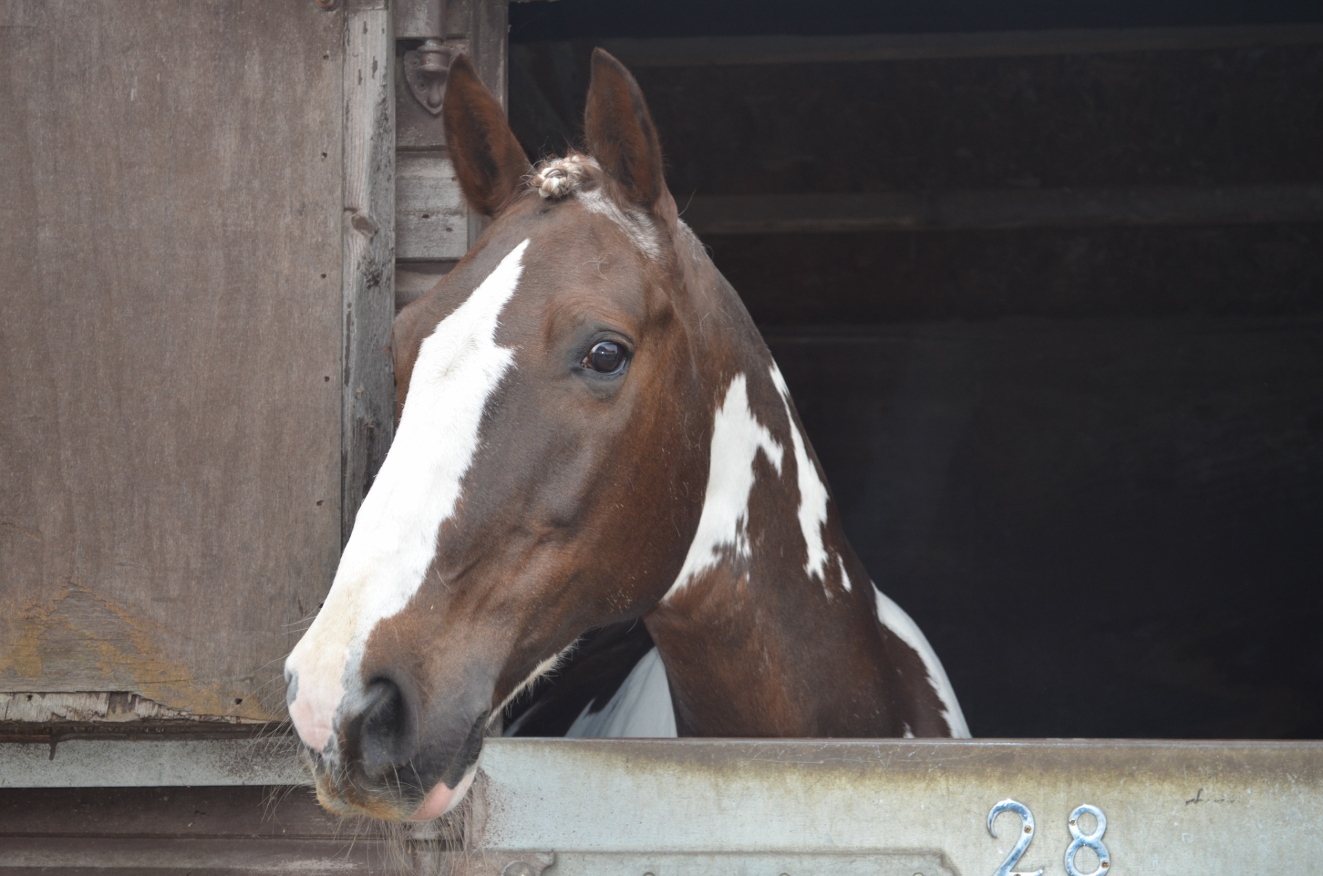 Ryders Farm Equestrian Centre | Bolton, Greater Manchester