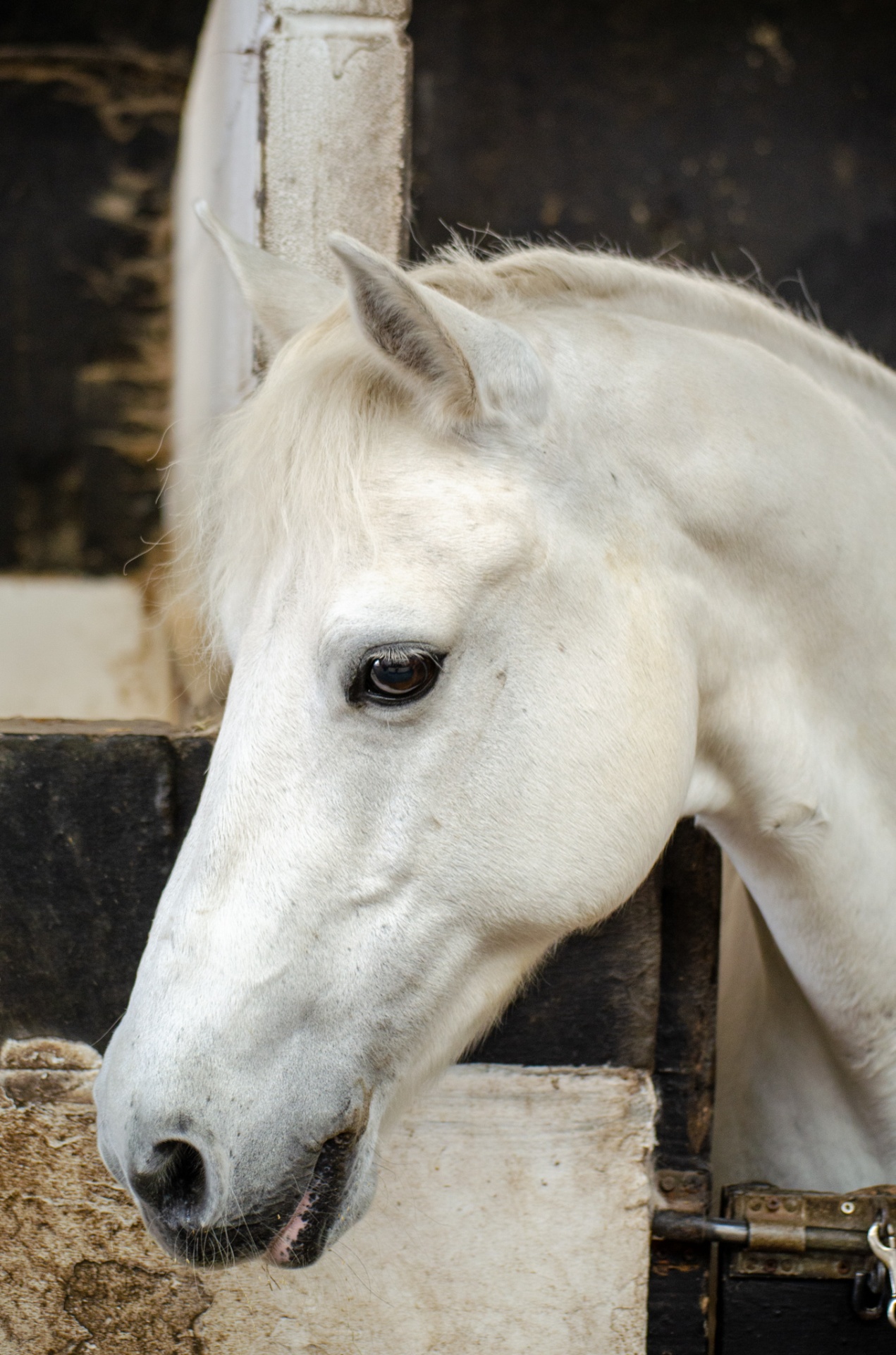 Ryders Farm Equestrian Centre | Bolton, Greater Manchester