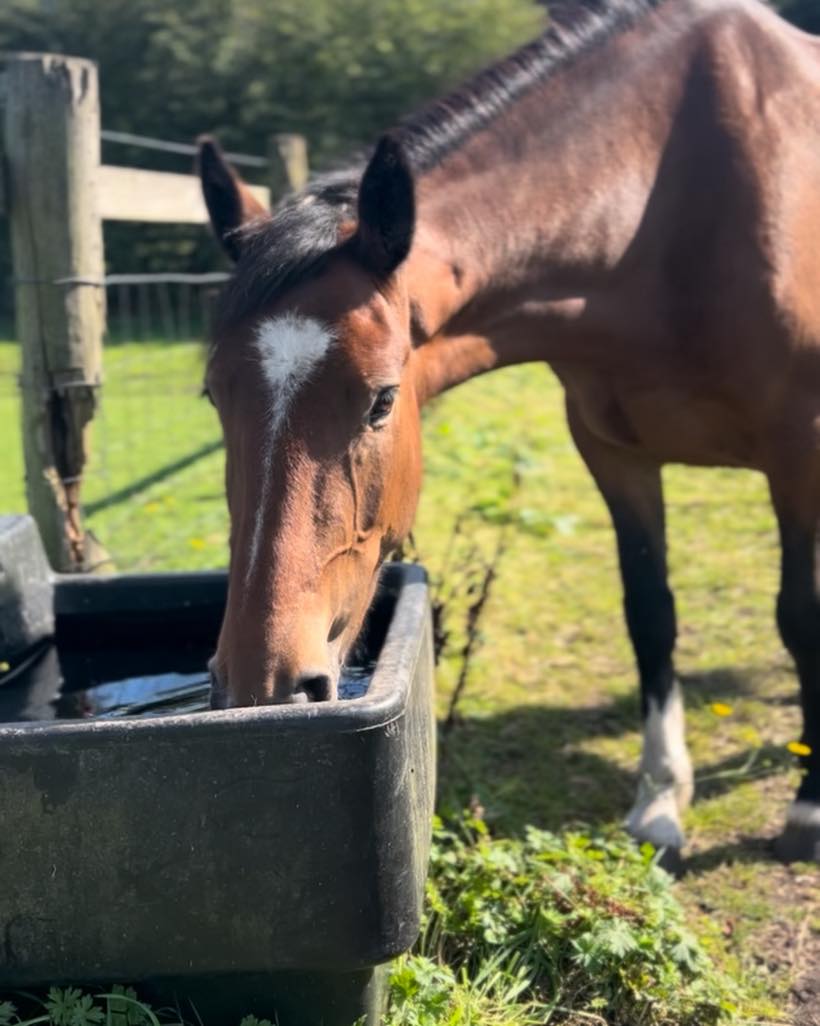 Ryders Farm Equestrian Centre | Bolton, Greater Manchester