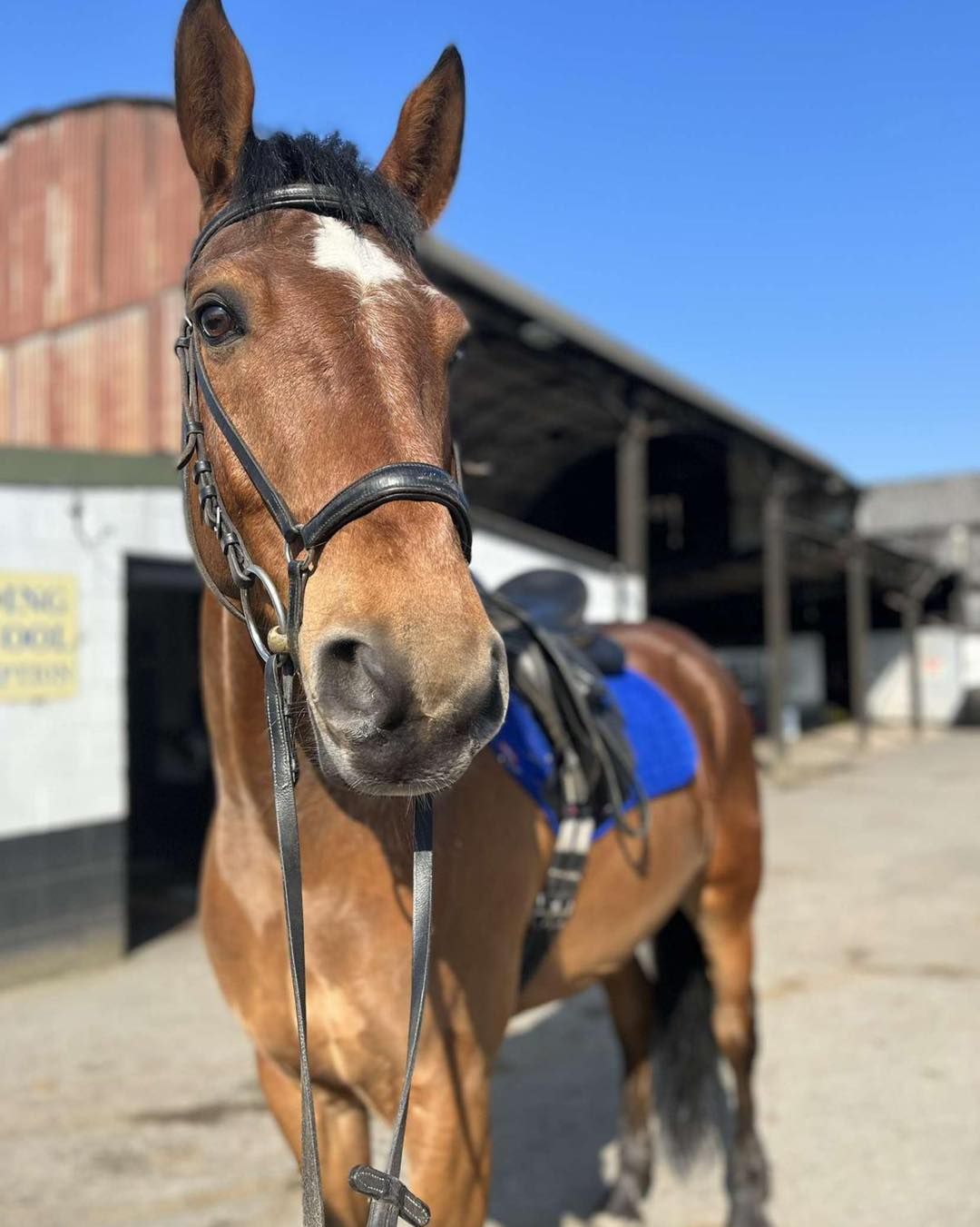 Ryders Farm Equestrian Centre | Bolton, Greater Manchester